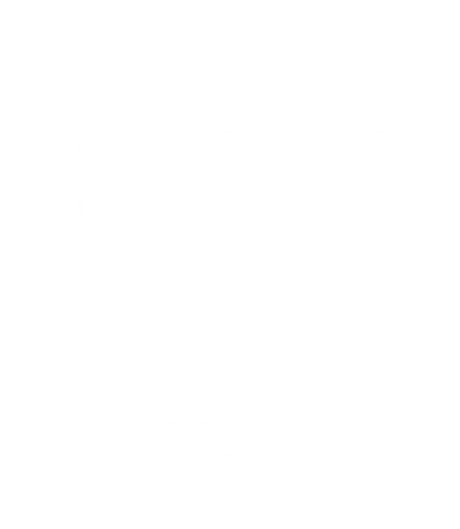 Dubai Cashless Strategy - Dubai Cashless Strategy