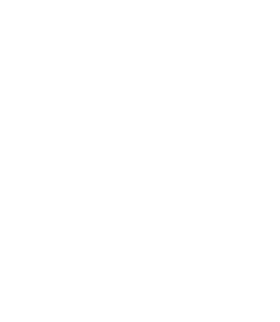 Dubai Cashless Strategy - Dubai Cashless Strategy